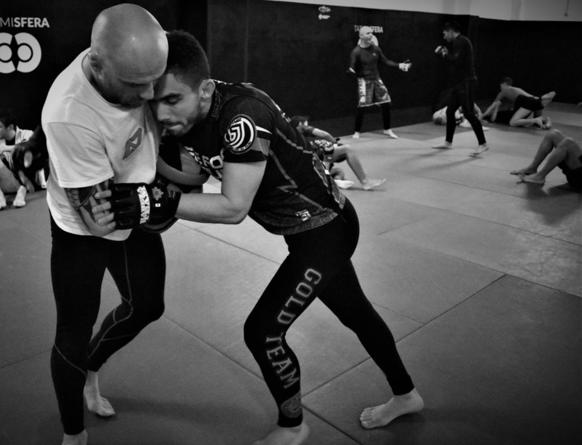 MMA, Mixed Martial Arts - Tatamisfera • Entrena diferente